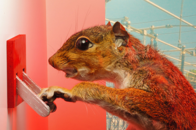 Squirrels, Grid Security and a Stuffed Rudd - Creative Connectivity